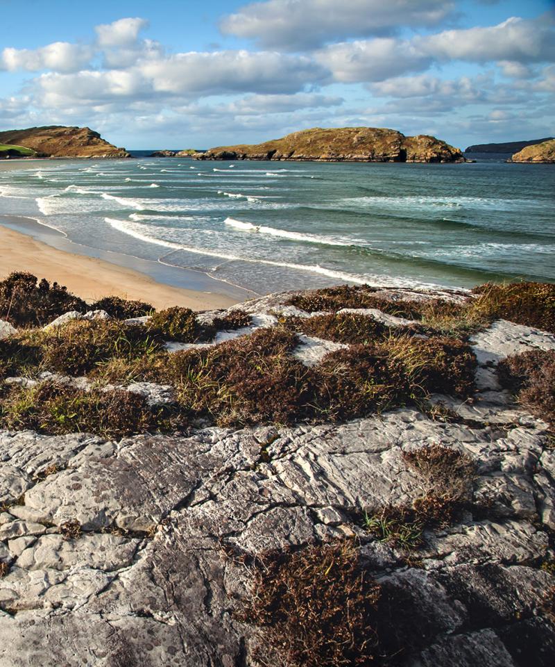 Local Government Services | Local Government Ireland